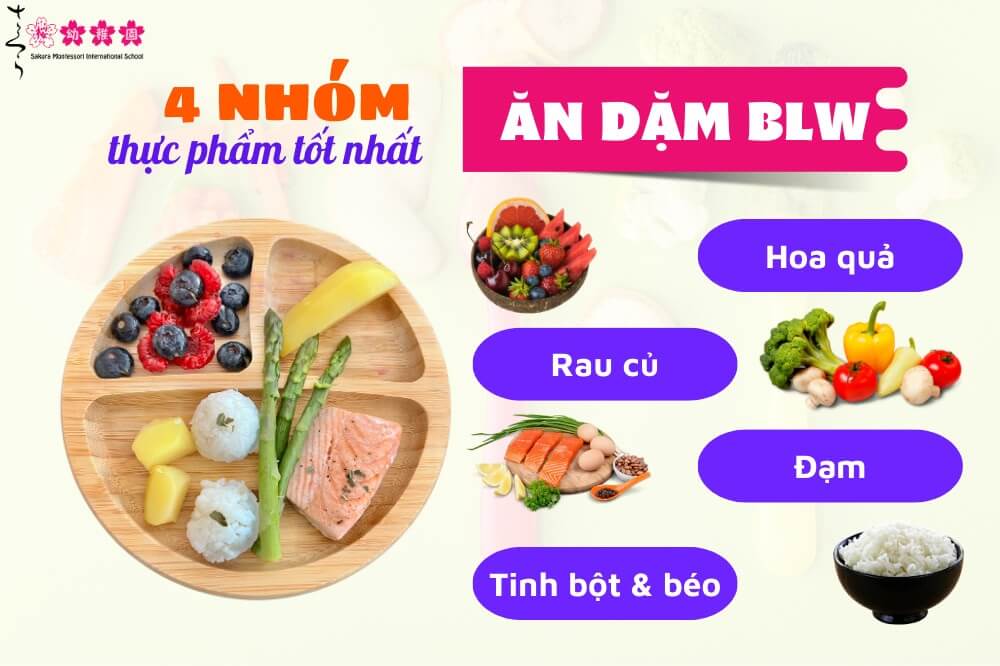 Ăn dặm tự chỉ huy BLW là gì? 20+ thực đơn hấp dẫn cho bé